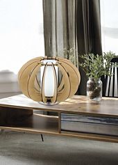 EGLO Carlo Modern Steel Flexible Desk Lamp - Sandy | Freemans