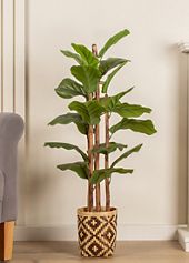 Artificial/Faux Palm Tree in Basket Woven Pot | Freemans