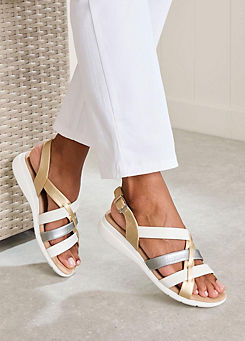 Cotton Traders Clothing & Footwear | Freemans