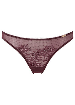 Gossard Lingerie | Freemans