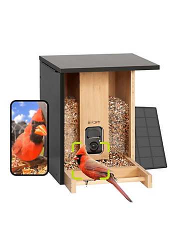 Birdfy Bamboo Bird Feeder with Camera & Solar Panel - AI Lifetime Free ...