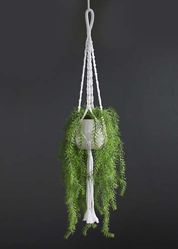Faux Artificial Trailing Artificial Rosemary in White Macrame | Freemans