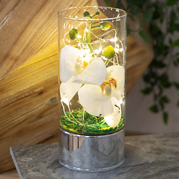 Hestia LED Light Up Glass Tube Vase with Artificial White Orchids ...
