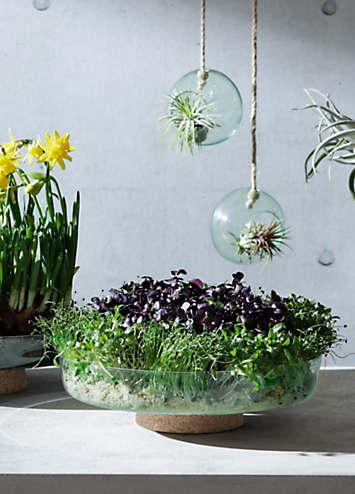 LSA Canopy Planting Bowl 28cm Recycled/Cork | Freemans
