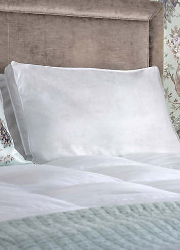 Laura Ashley Luxury Side Sleeper Pillow | Freemans