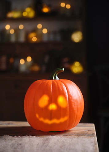 Lights4Fun Lights 4 Fun Animated Halloween Pumpkin Light | Freemans