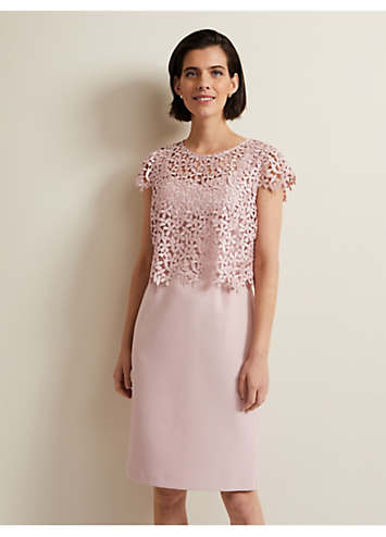 Phase Eight Daisy Lace Midi Dress | Freemans