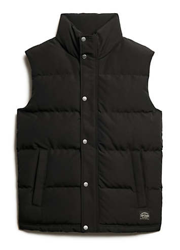 Radley London Signature Radley Scarf | Freemans