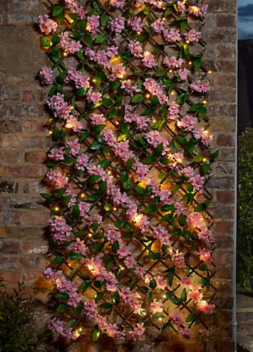 Smart Garden 75 LED Solar In-Lit Pink Blossom Expanding Trellis 180 x ...