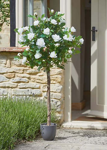 Smart Garden Faux Rose Tree | Freemans