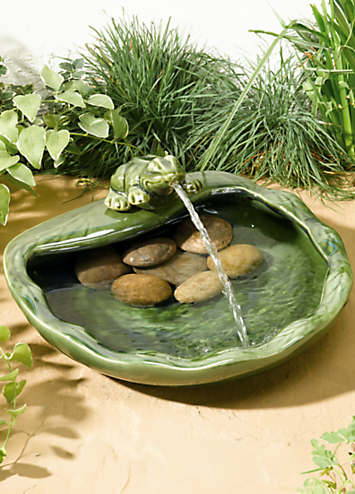 Smart Garden Frog Water Feature | Freemans