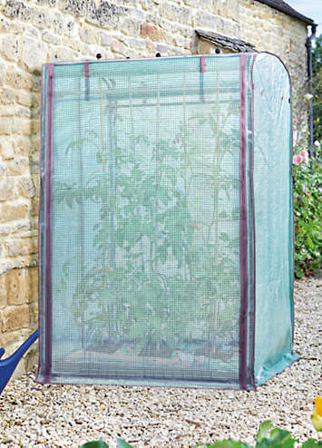 Smart Garden Tomato GroZone Max - Double Sided | Freemans