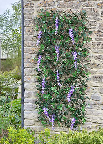 Smart Garden Wisteria Trellis 180 x 60cm | Freemans