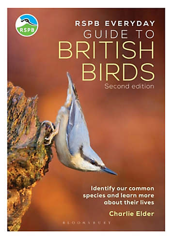 The Rspb Everyday Guide Book To British Birds: Identify Our Common ...