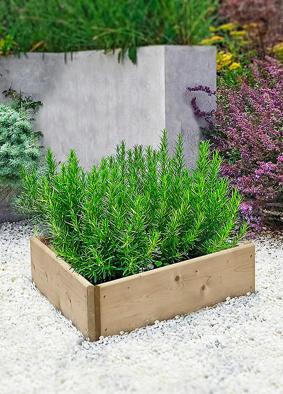 1 Tier Triangular Raised Bed | Freemans