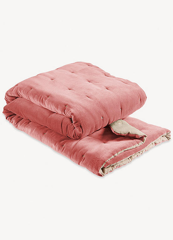 Christy Jaipur 100% Cotton Throw | Freemans