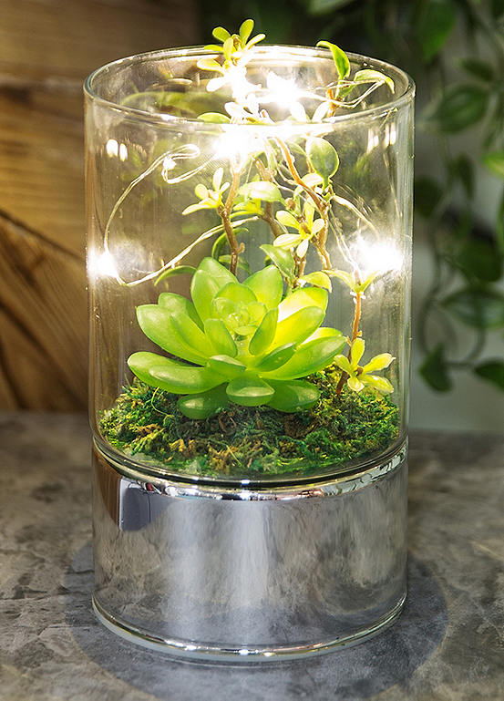 Hestia Glass Tube Terrarium with Artificial Succulents & LEDs 15 cm | Freemans