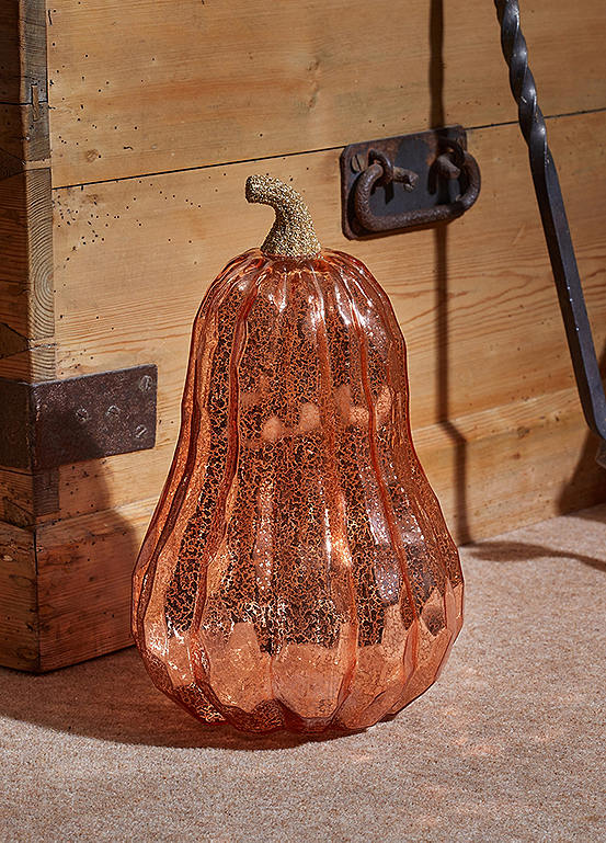 Light Up Squash | Freemans