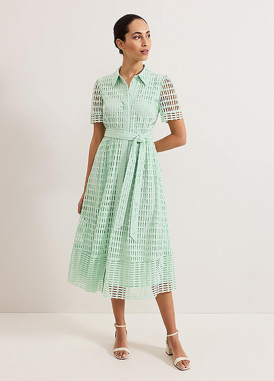 Phase Eight Sandy Lace Dress | Freemans