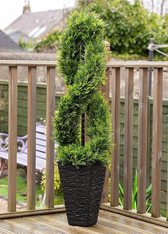 Scottish Everlastings Ltd 122cm UV Twisted Cedar Topiary In Square Pot ...
