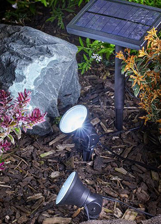 Smart Garden Set of 10 5L MultiSpot Lights | Freemans