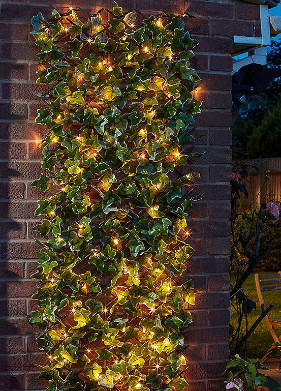 Smart Garden Solar In-Lit Ivy Trellis | Freemans