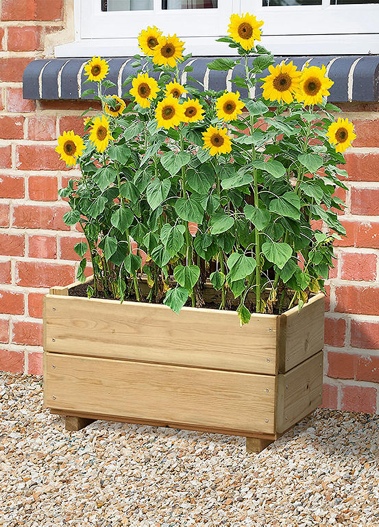 Sunflower Planter 60 x 30 x 36cm | Freemans