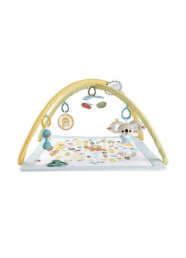 Fisher Price Simply Senses Newborn Gym Freemans