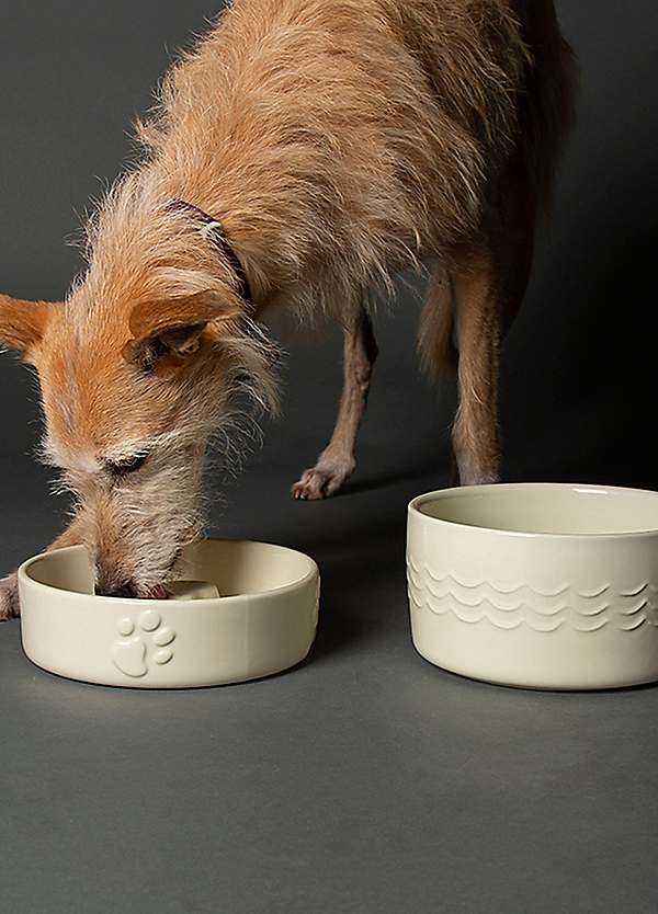 Scruffs Icon Slow Feeder Drink Bowl Set for Dogs 20cm Freemans
