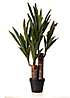 80cm Faux Artificial Yucca Tree Plant | Freemans