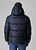 French Connection Hooded Puffer Jacket with High Neck | Freemans
