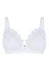 Oola Lace & Logo Non-Padded Underwired Bra | Freemans