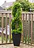 Scottish Everlastings Ltd 122cm UV Twisted Cedar Topiary In Square Pot ...