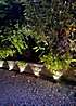 Smart Garden Set of 10 5L MultiSpot Lights | Freemans
