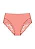 Triumph Ladyform Soft Maxi Briefs | Freemans