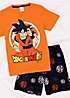 Vanilla Underground Dragon Ball Z Unisex Kids Orange Short Sleeve Short ...