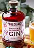 Wildjac Damson & Raspberry Gin 70cl | Freemans