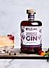Wildjac Damson & Raspberry Gin 70cl | Freemans